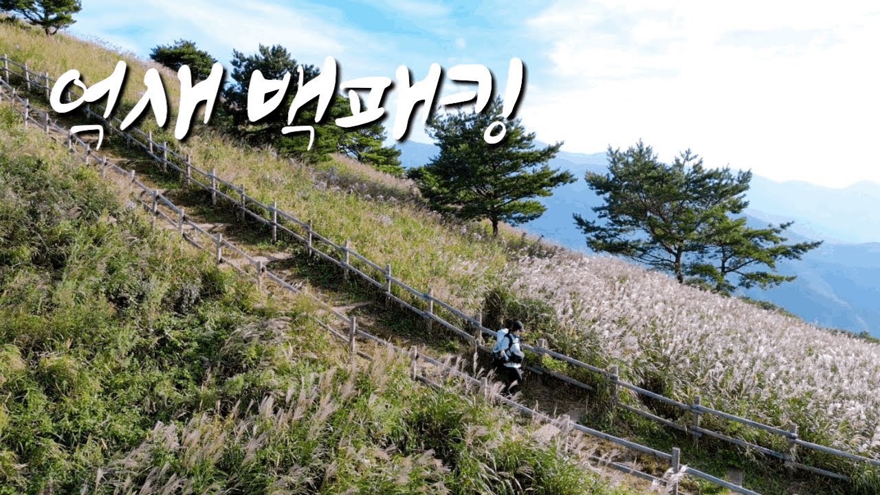 솔로백패킹 여름과 가을 사이 그 어디쯤 나홀로 강원도 정선 백패킹 억새백패킹 민둥산 최단코스 거저먹는