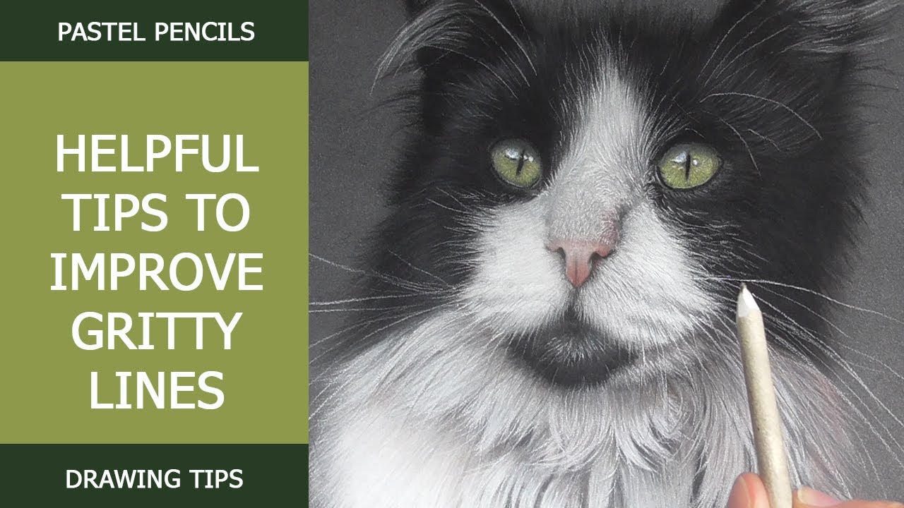 Some tips to improve gritty lines in your animal portraits in pastels ...