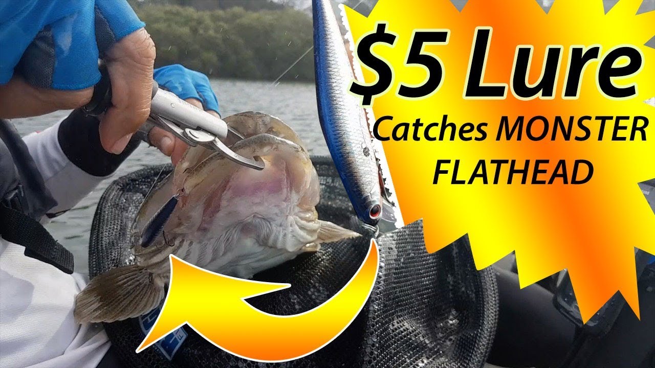 Hobie Kayak River Fishing - A Monster Flathead on $5 Lure - YouTube
