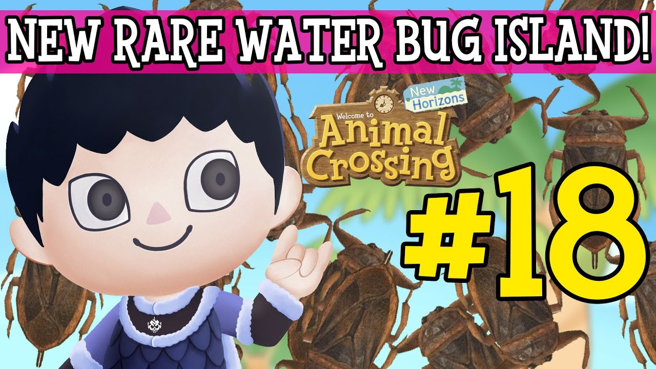 NEW RARE WATER BUG ISLAND! - Animal Crossing: New Horizons #18 - YouTube