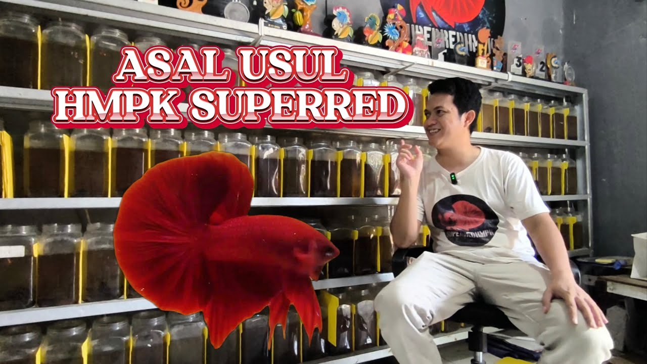 ASAL - USUL HMPK SUPER RED - YouTube