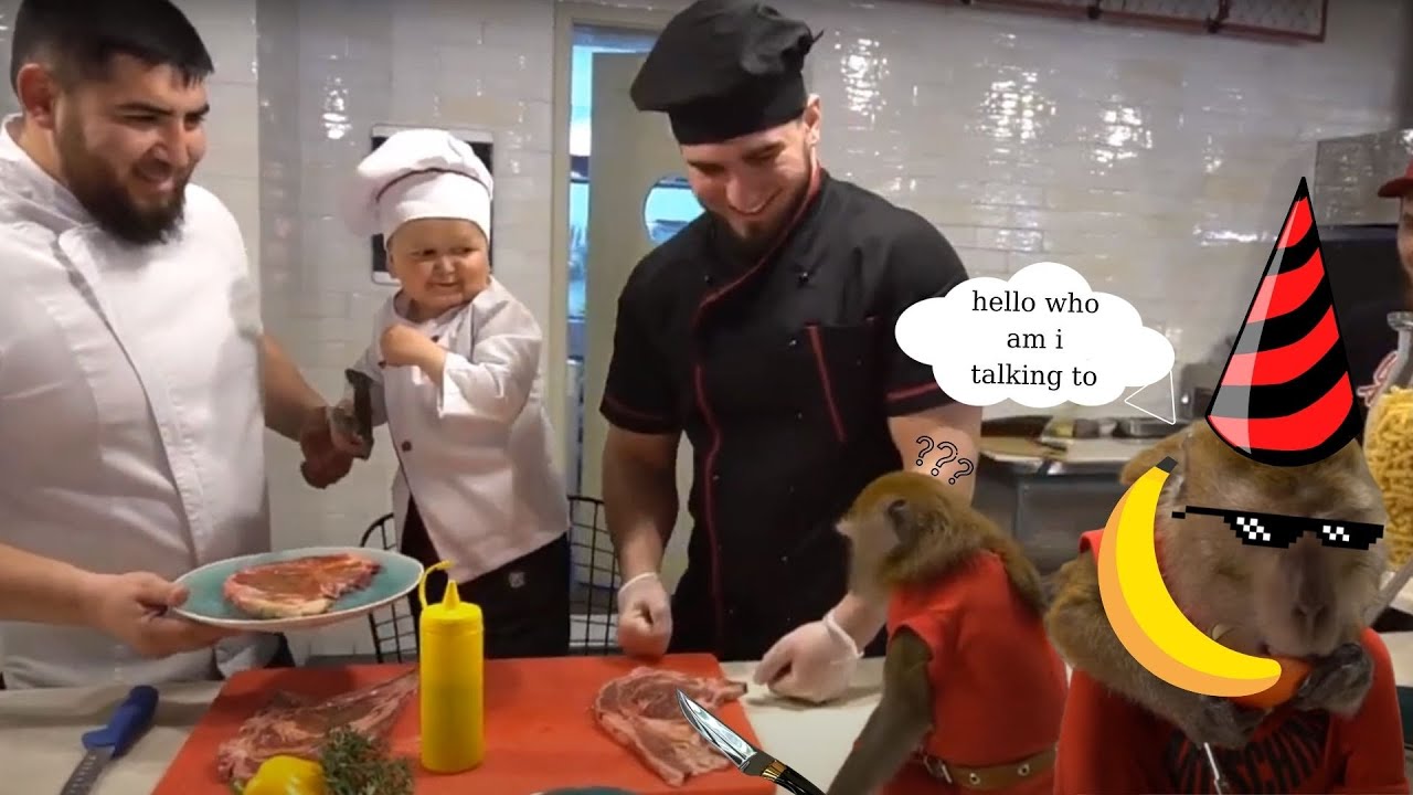 Hasbulla making food in restaurand with monkey! - YouTube