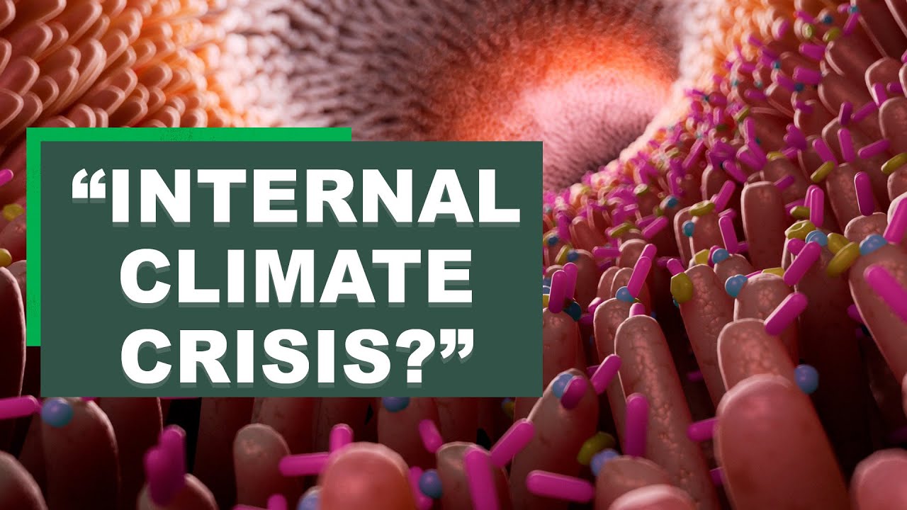 "An INTERNAL climate crisis?" | Microbiome and Gut expert Dr James ...