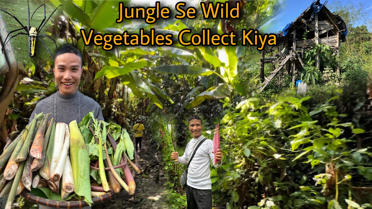 Jungle Se Wild Vegetables Collect Kiya😊 Banana Flowers,Mushrooms ...