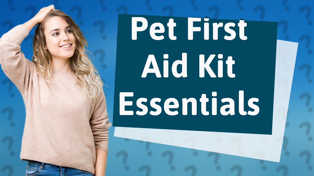 What Essentials Should I Include in My Pet's First Aid Kit? - YouTube