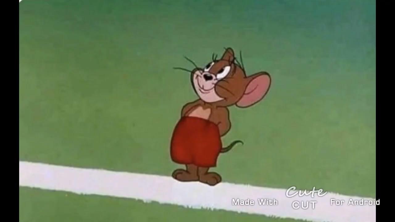 توم و جيري بختصار اليوم الوطني ميمز 😃😃😃🥳💚💚😎 - YouTube