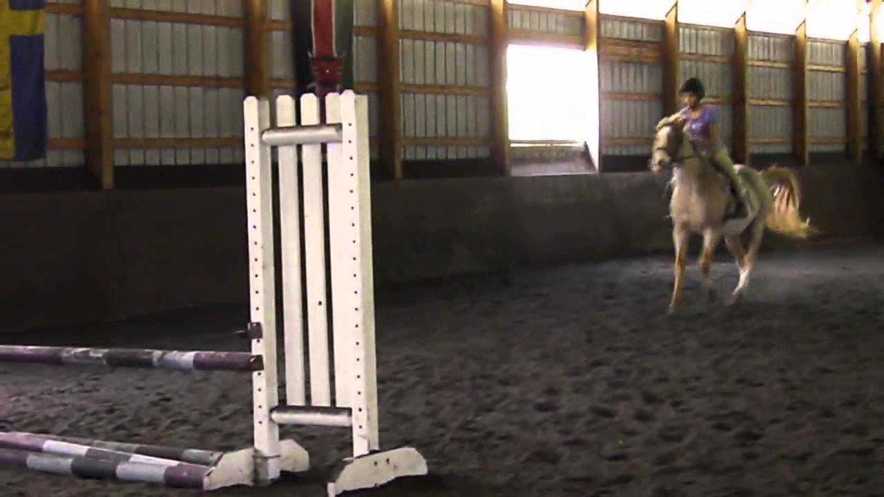 Horseriding Lesson-Jumping 2'3 - YouTube