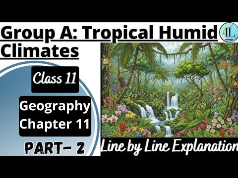 Group A: Tropical Humid Climates | World Climate and Climate Change ...