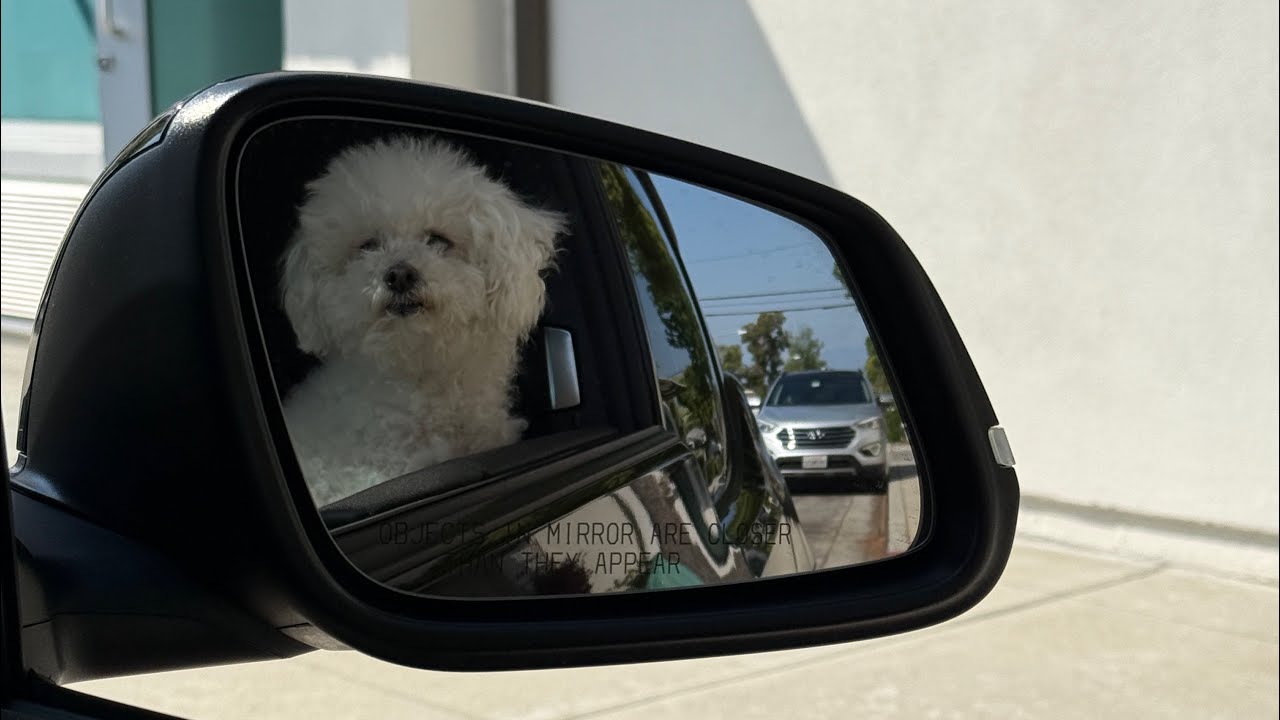 just another week - YouTube