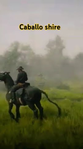 CABALLO SHIRE, IMPONENTE!! #rdr2 #vaqueros #caballo - YouTube