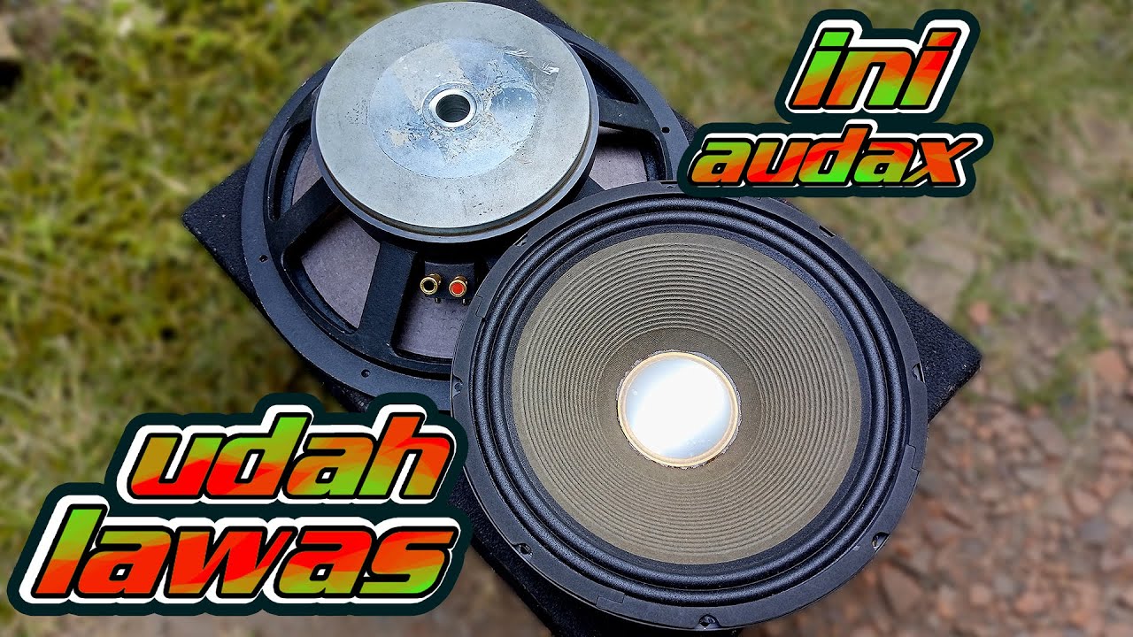 REVIEW KOMPONEN SPEAKER AUDAX AX - 15950 dan AUDAX AX - 12462 - YouTube