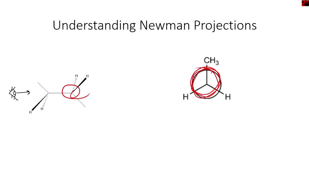 Org Chem: Quick reference animation on Newman Projections - YouTube