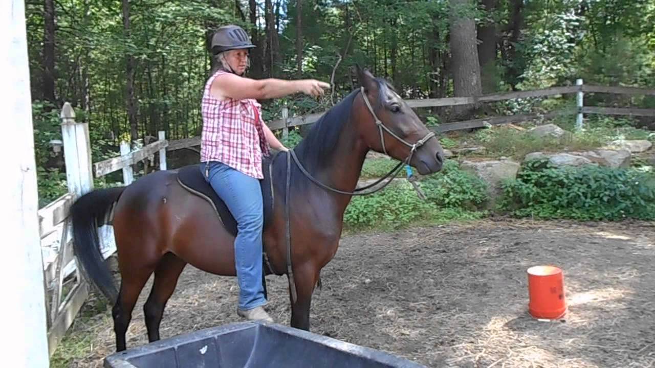Starting a colt after a bucking incident part 2 - YouTube