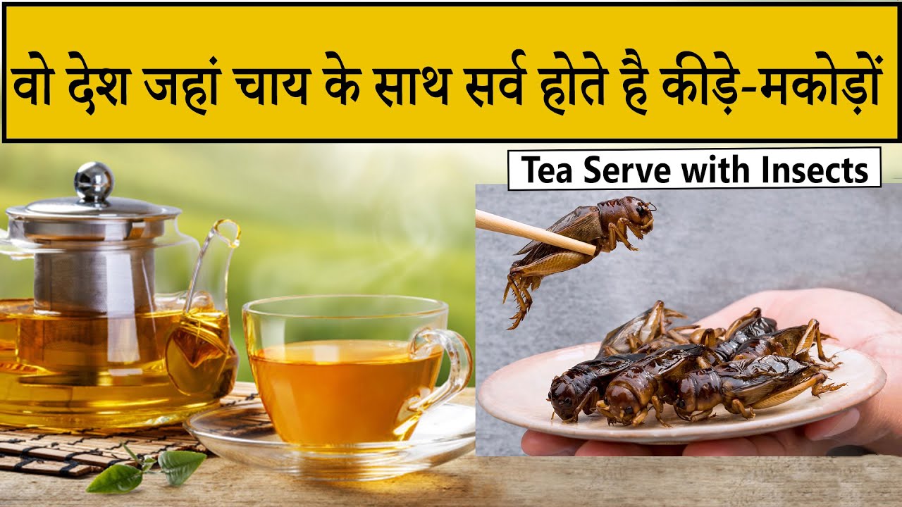 Countries of the World where Tea Served with Insects I #tealover # ...
