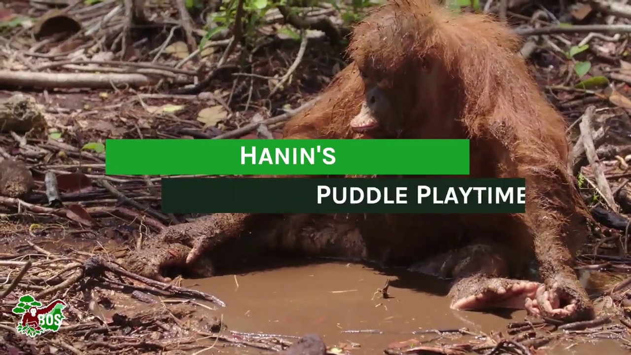 Hanin's Puddle Playtime - YouTube
