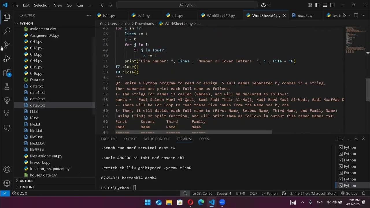 Python Lab WS_4 - YouTube