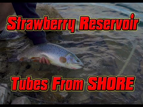Strawberry Reservoir Tubes From Shore - YouTube