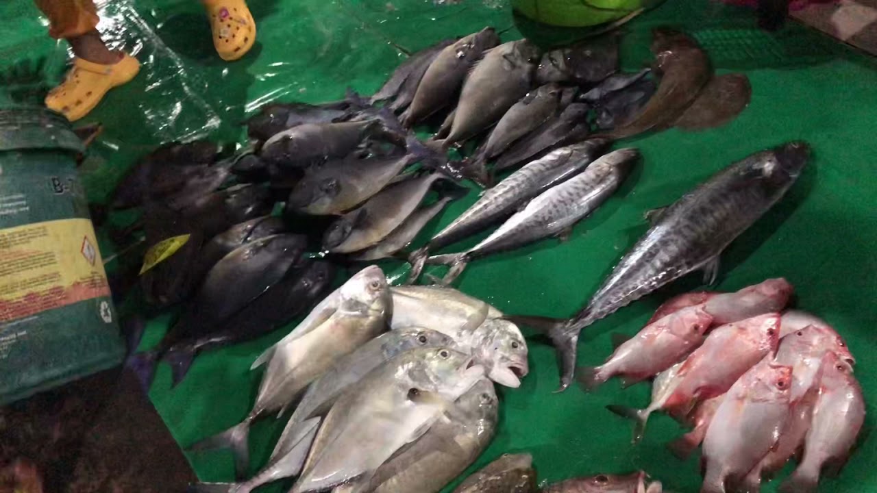 Mamili tayo ng sariwang isda sa Mercedes fish port 🐟🐟 - YouTube