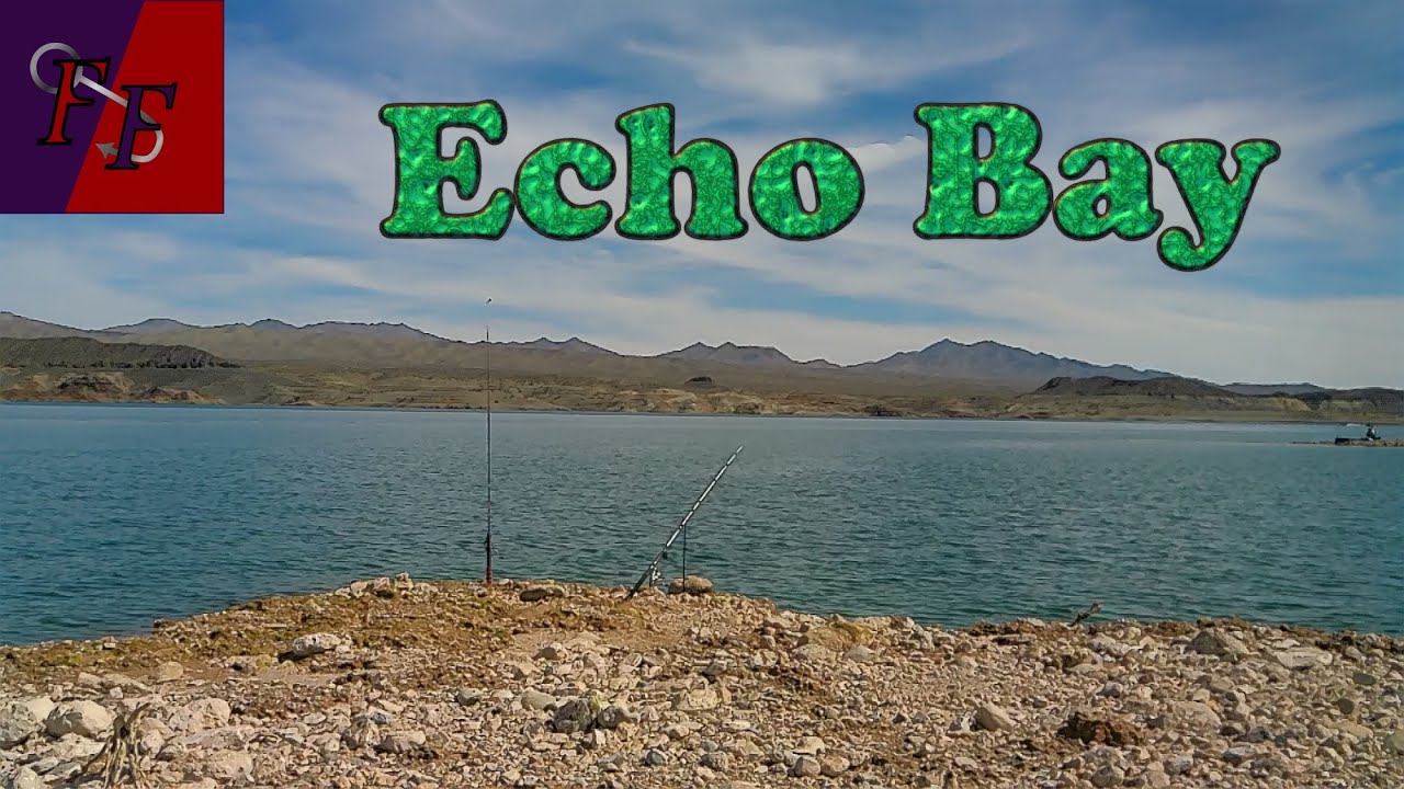 Let's actually fish that! - YouTube