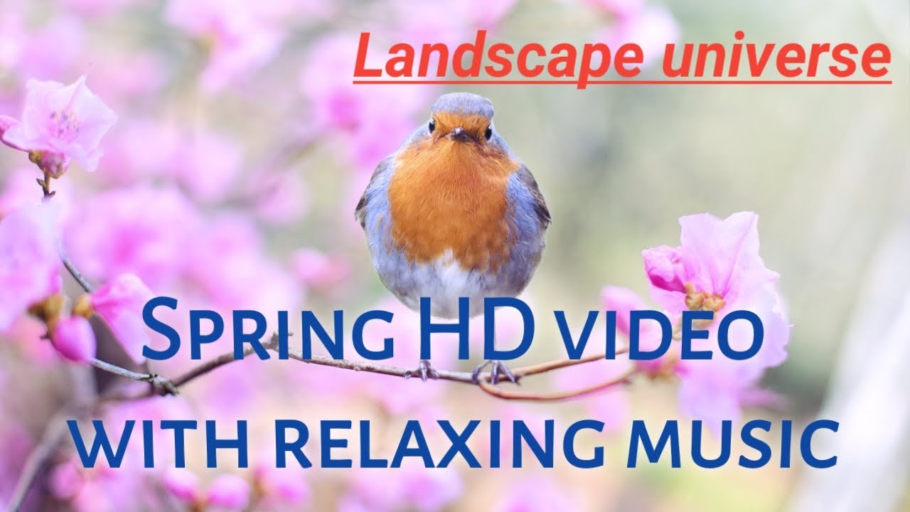 Spring🌱🌷🌸 HD video with relaxing music🎶#Landscape universe# - YouTube