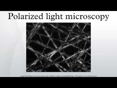 Polarized light microscopy - YouTube