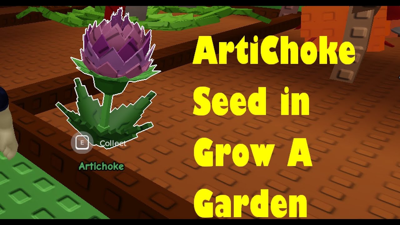 How to Get the "ARTICHOKE" Seed in Grow a Garden! Roblox - YouTube