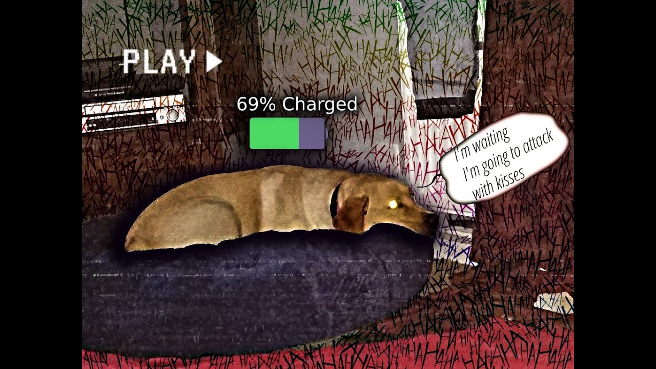 Barley the dog part 1 - YouTube