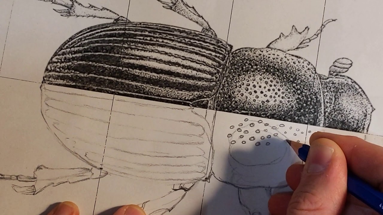 Bugs 3 (shading) - YouTube