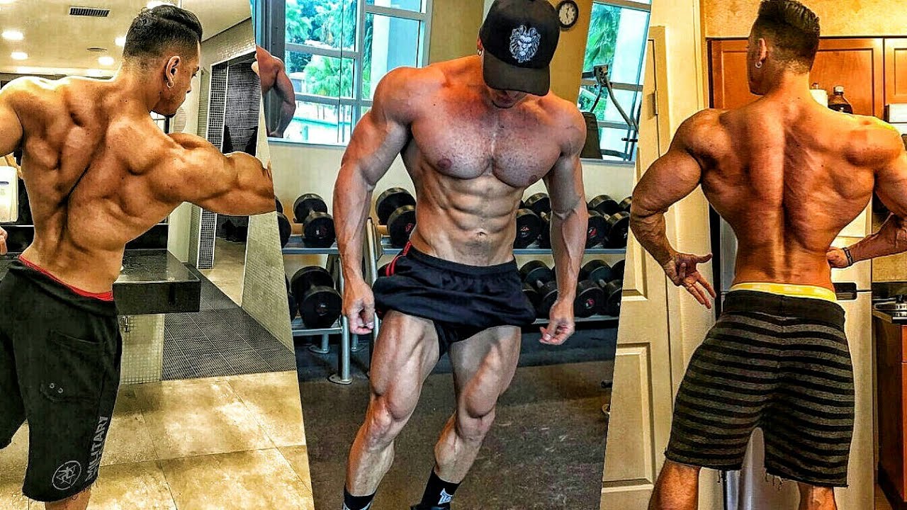 FELIPE FRANCO MOTIVACIONAL - EVOLUÇÃO DO SHAPE 2017 - DUVIDO VOCÊ NÃO ...