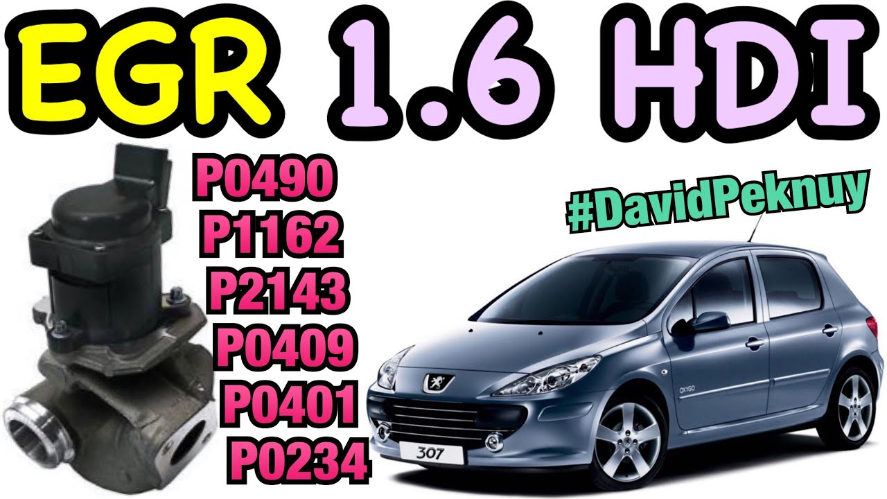 Peugeot 307 EGR 1.6 HDI. P0490. P1162. P2143. P0409. P0401. P0234. ЕГР ...