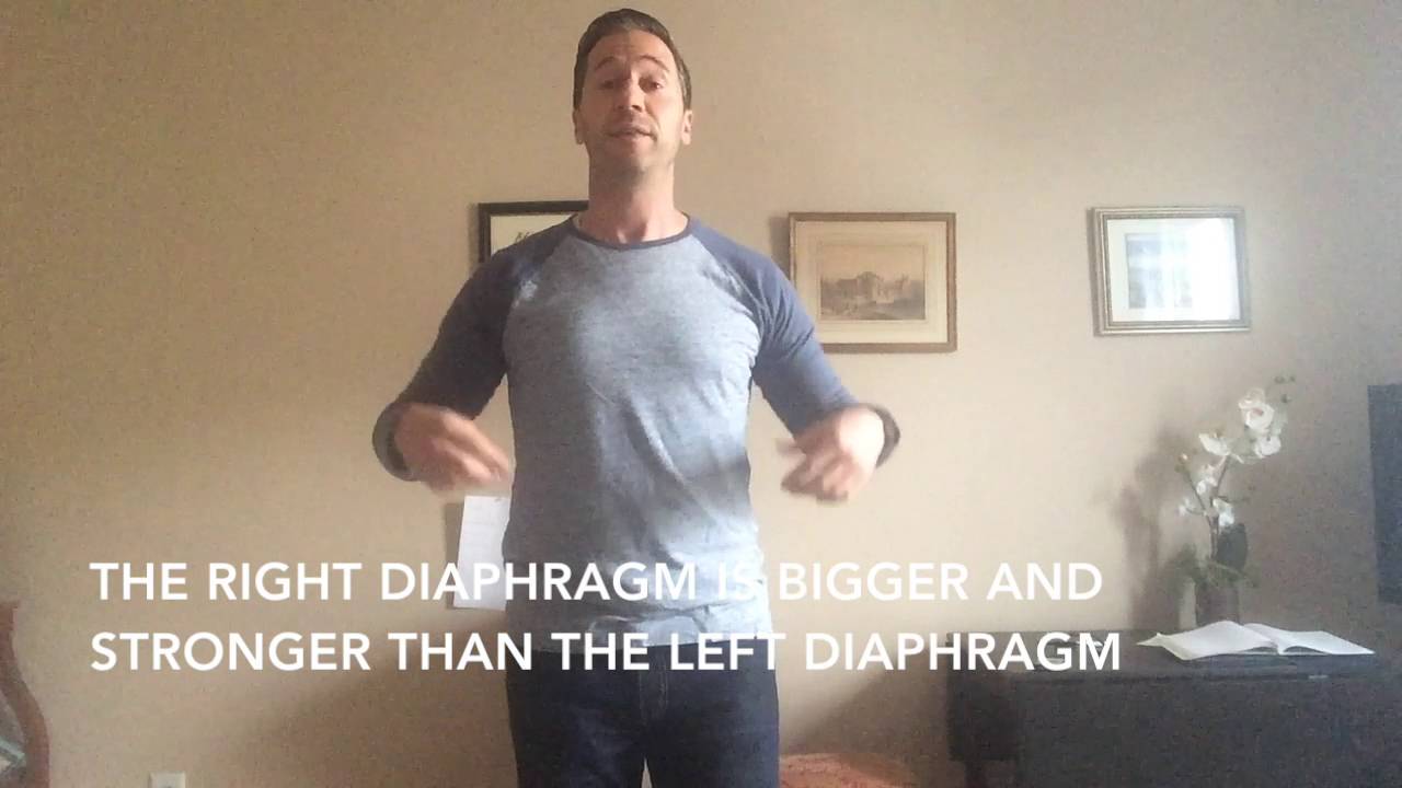 Diaphragm basics: how extension of your lower back prevents proper ...