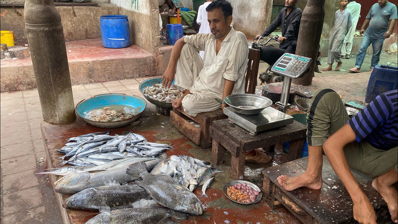 Karachi Bengali Fish Market 100 Quarter 7th August Update - YouTube
