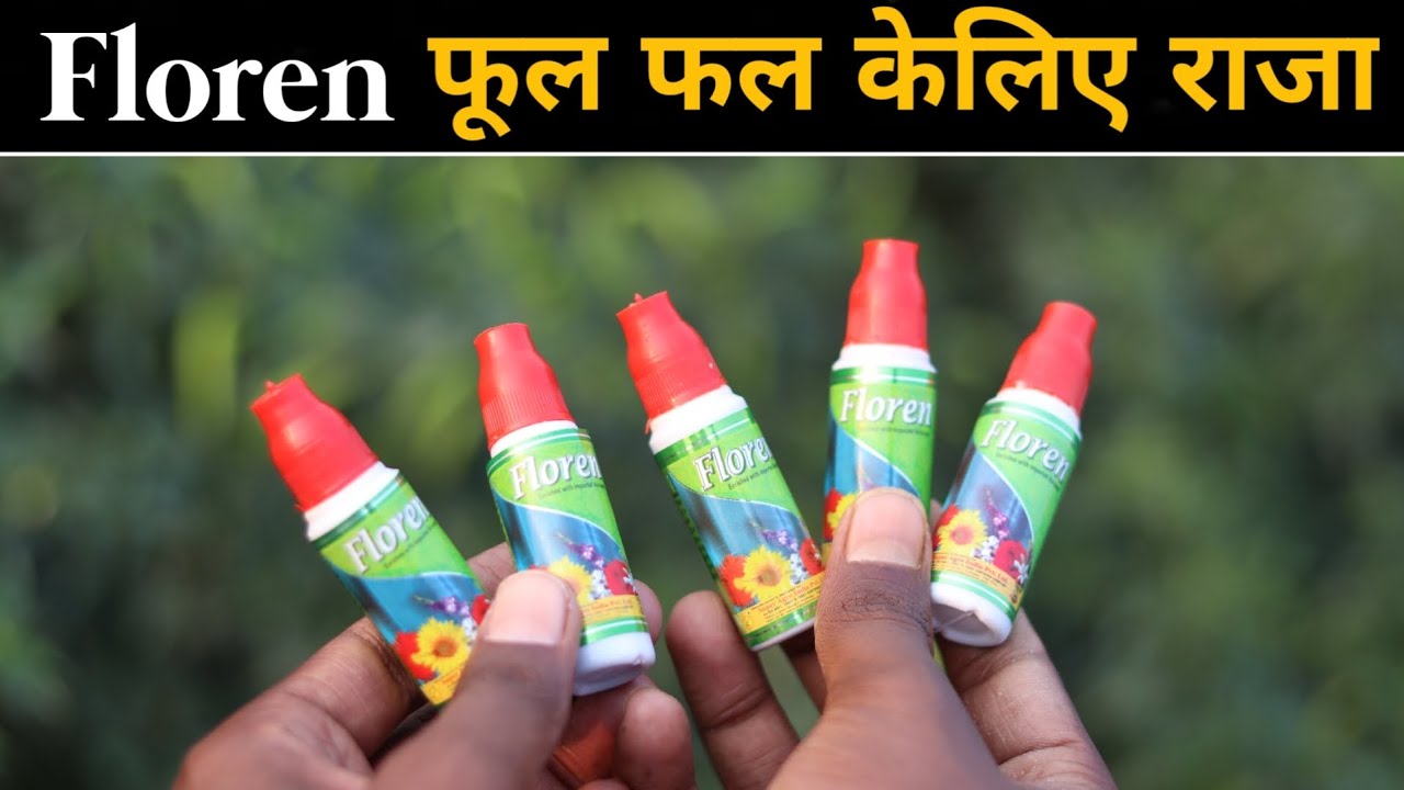 Floren फूल फल केलिए राजा || Flowering Hormone for plants || agri duniya ...