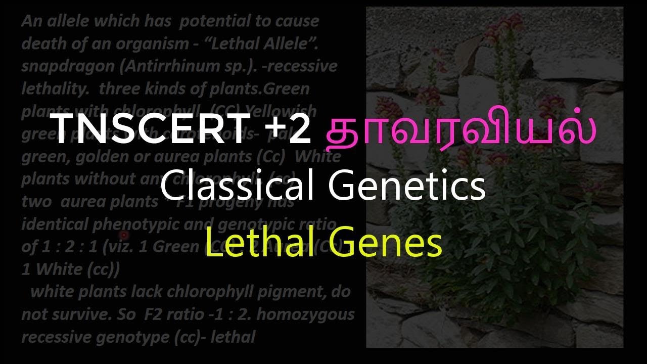 19.Botany | Classical Genetics | Lethal Genes - YouTube
