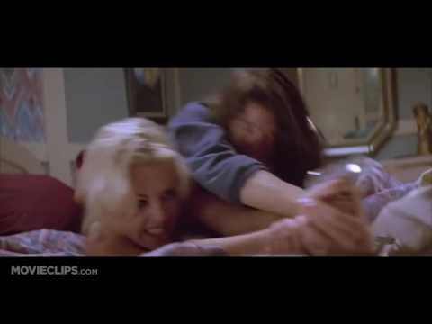 2 Days in the Valley - Cat Fight