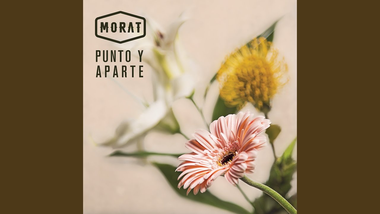 Punto Y Aparte - YouTube