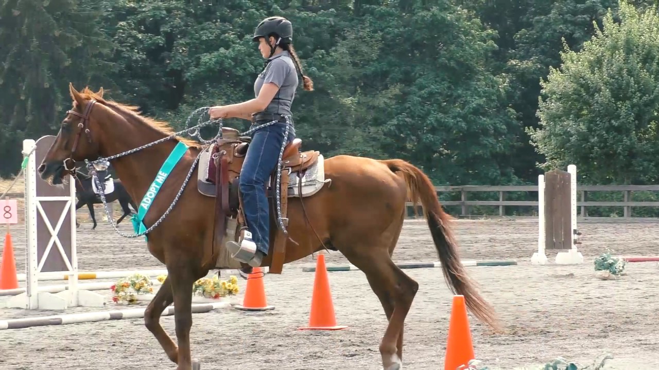 Ben: Trails at the 2017 SAFE Benefit Horse Show - YouTube