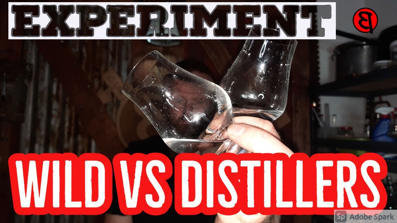 How to use Wild Yeast, Can you use Wild yeast for Distillation - YouTube