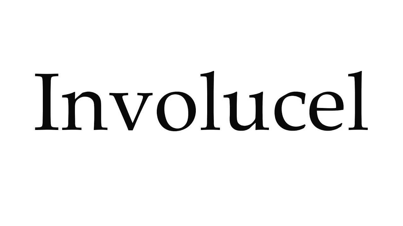 How to Pronounce Involucel - YouTube