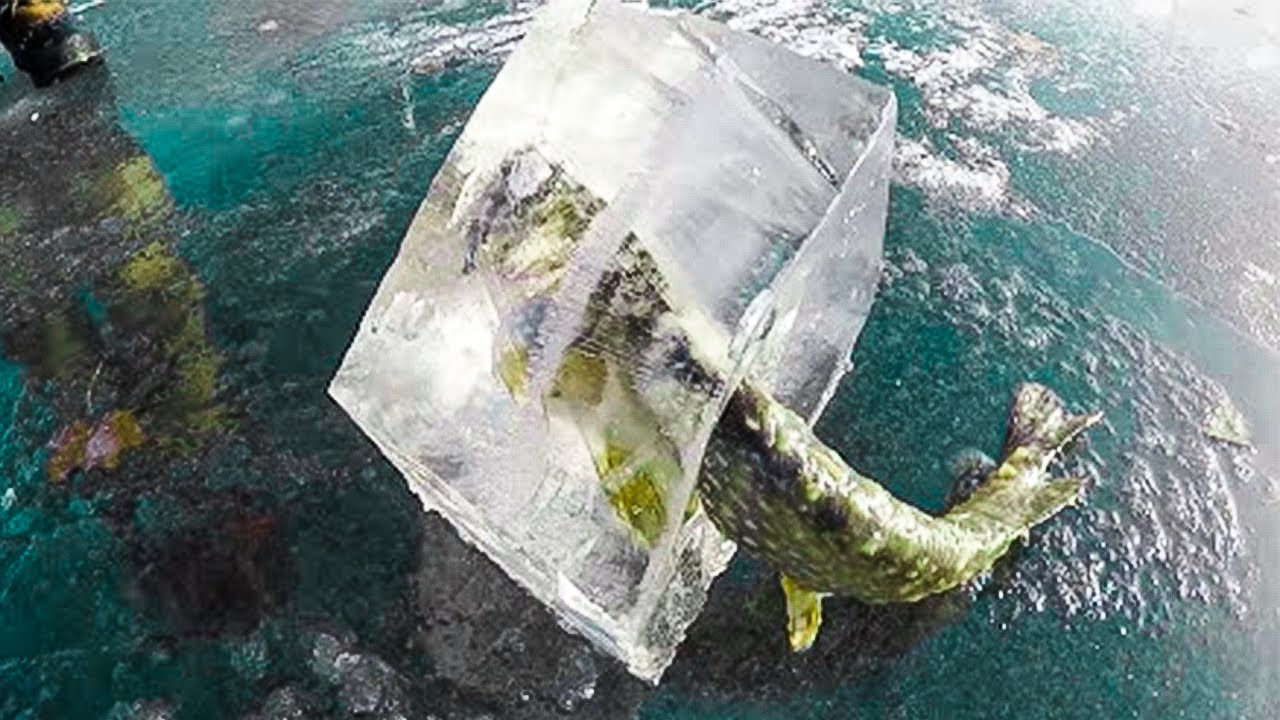 Two Brothers Were On A Fishing Trip When They Found Something ...