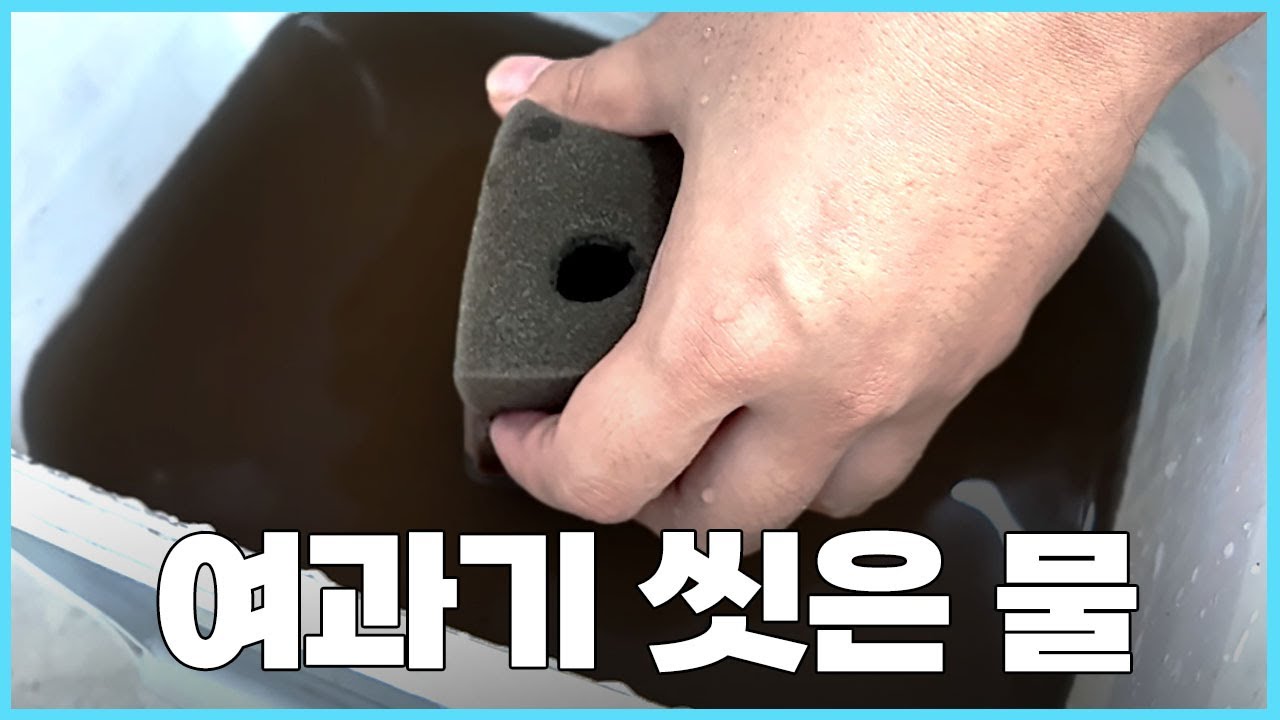 겉으로 봐서는 모릅니다 스펀지여과기 청소 Youtube