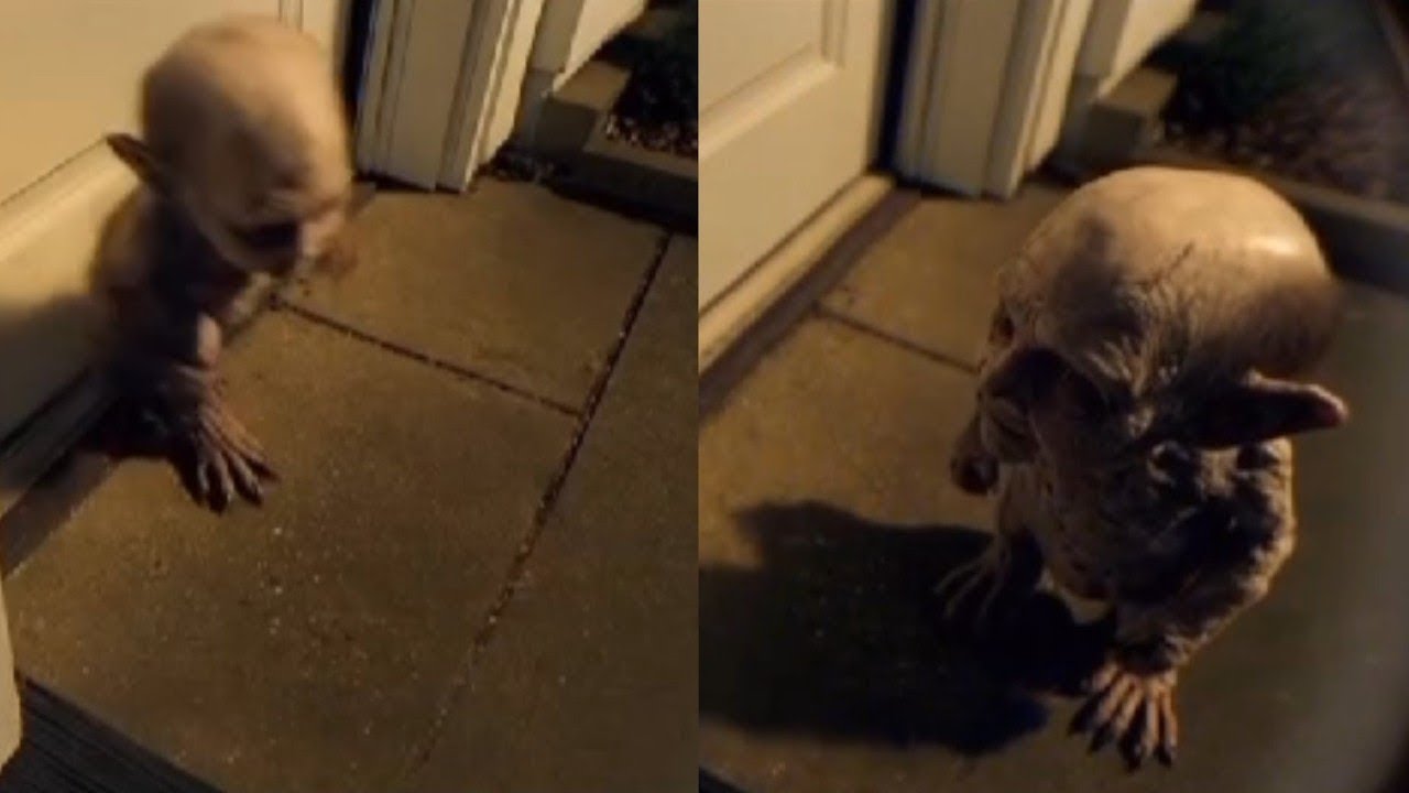 LOOK AT THIS THAT WAS RECORDED BY SURVEILLANCE CAMERAS SCARY VIDEOS ...