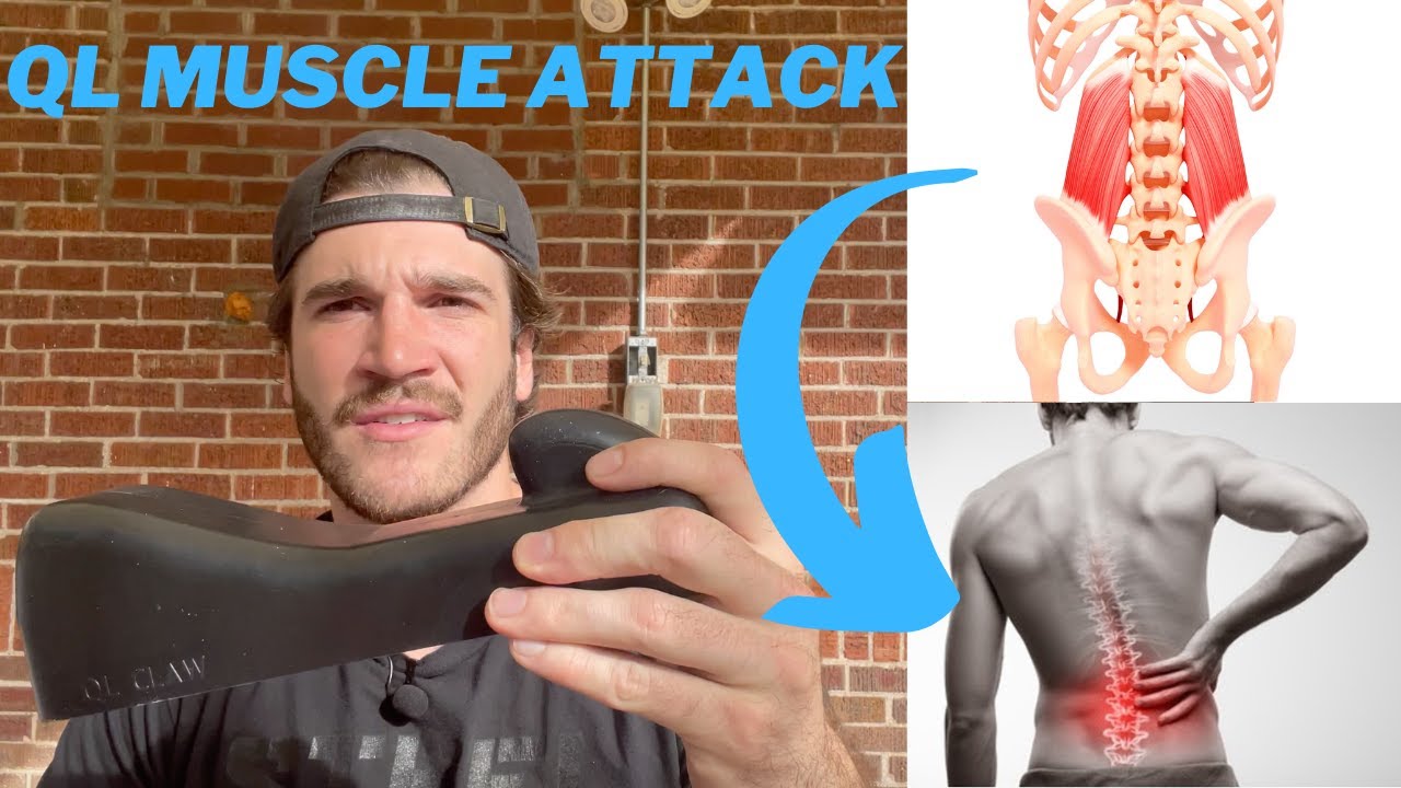 QL Muscle: What It Is and How It Can FIX OR BREAK Your Back Pain - YouTube