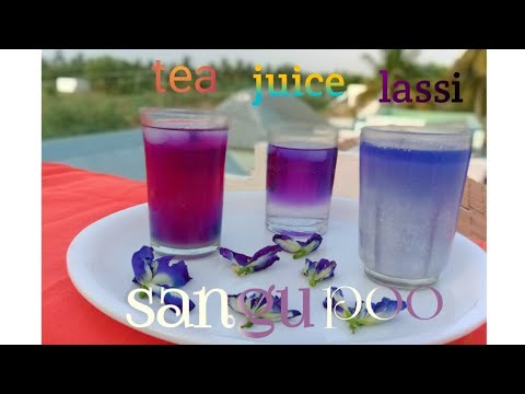 Sangu poo Tea, Juice, Lassi | Innovative recipe | Student's Kitchen ...