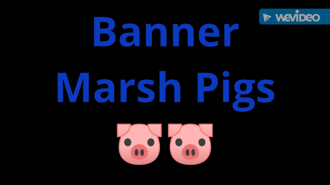 Bank Fishing Banner Marsh - YouTube