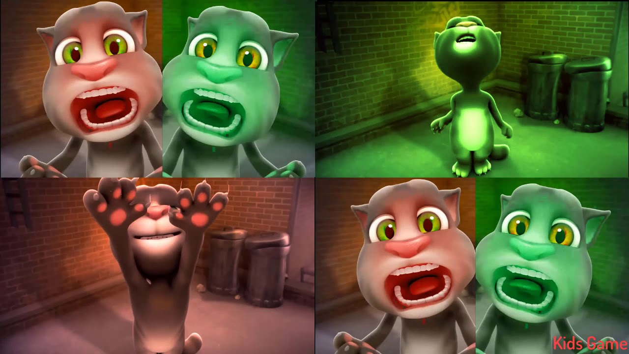 Chú Mèo Tom Con Ăn Ớt Cay, Mèo Tôm Cho Bé - YouTube