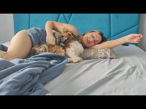 Morgenroutine