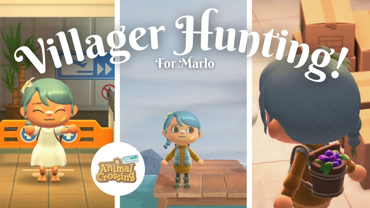 Villager Hunting for Marlo in Animal Crossing New Horizons! - YouTube