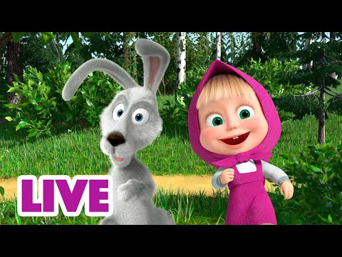🔴 LIVE! Maşa İle Koca Ayı 🤔 Tavşan nereye gitti? 🐇 Masha and the Bear