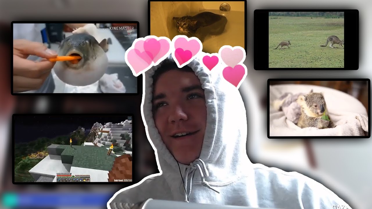 Traves being Wholesome while Reacting to Media Shares - YouTube